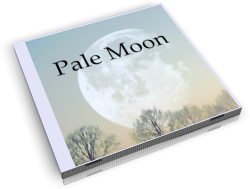 Pale Moon 32.5.0 + Portable - Navegador basado en Firefox con versión ...