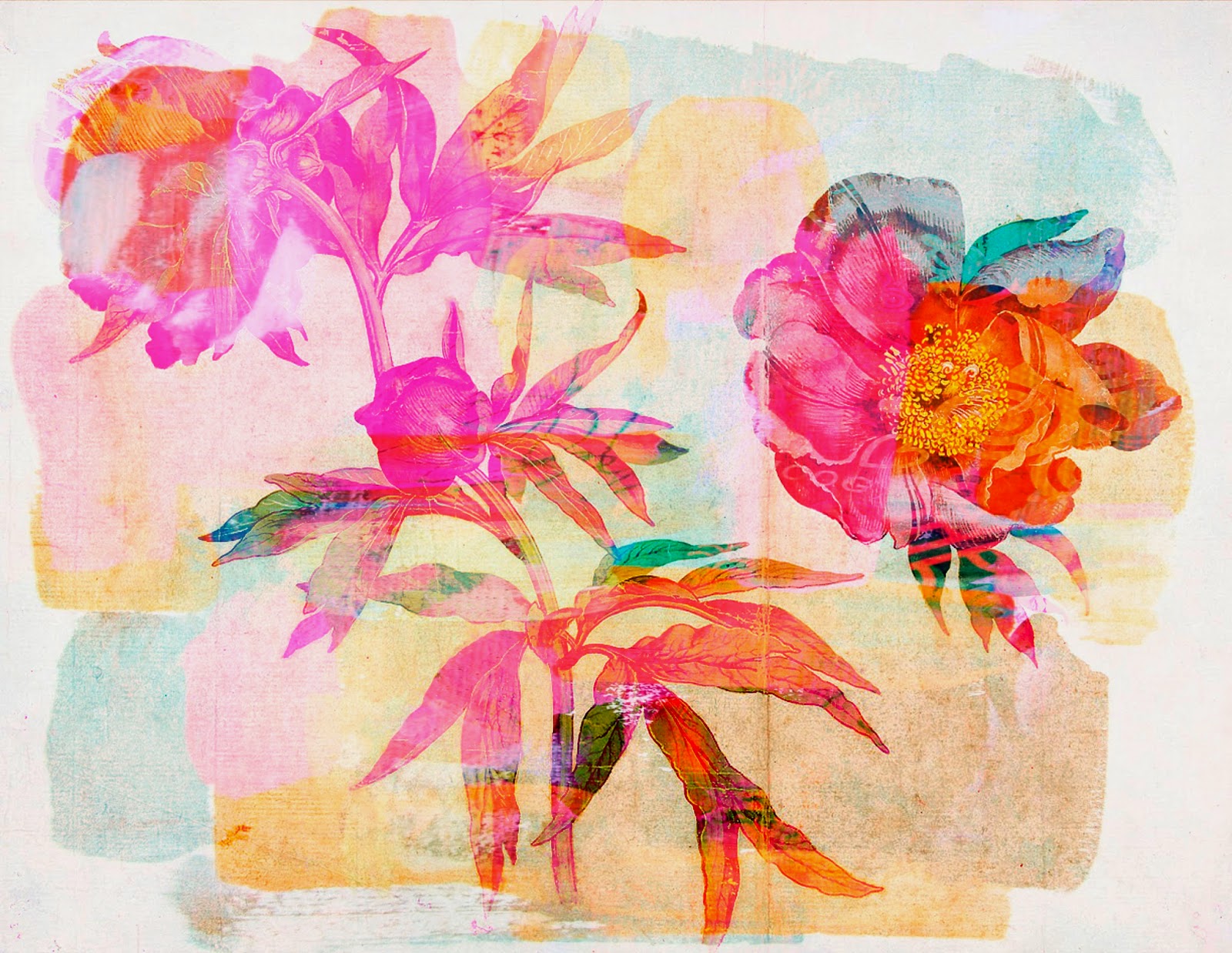 Patti Friday: Modern Botanical Prints By Patti Friday