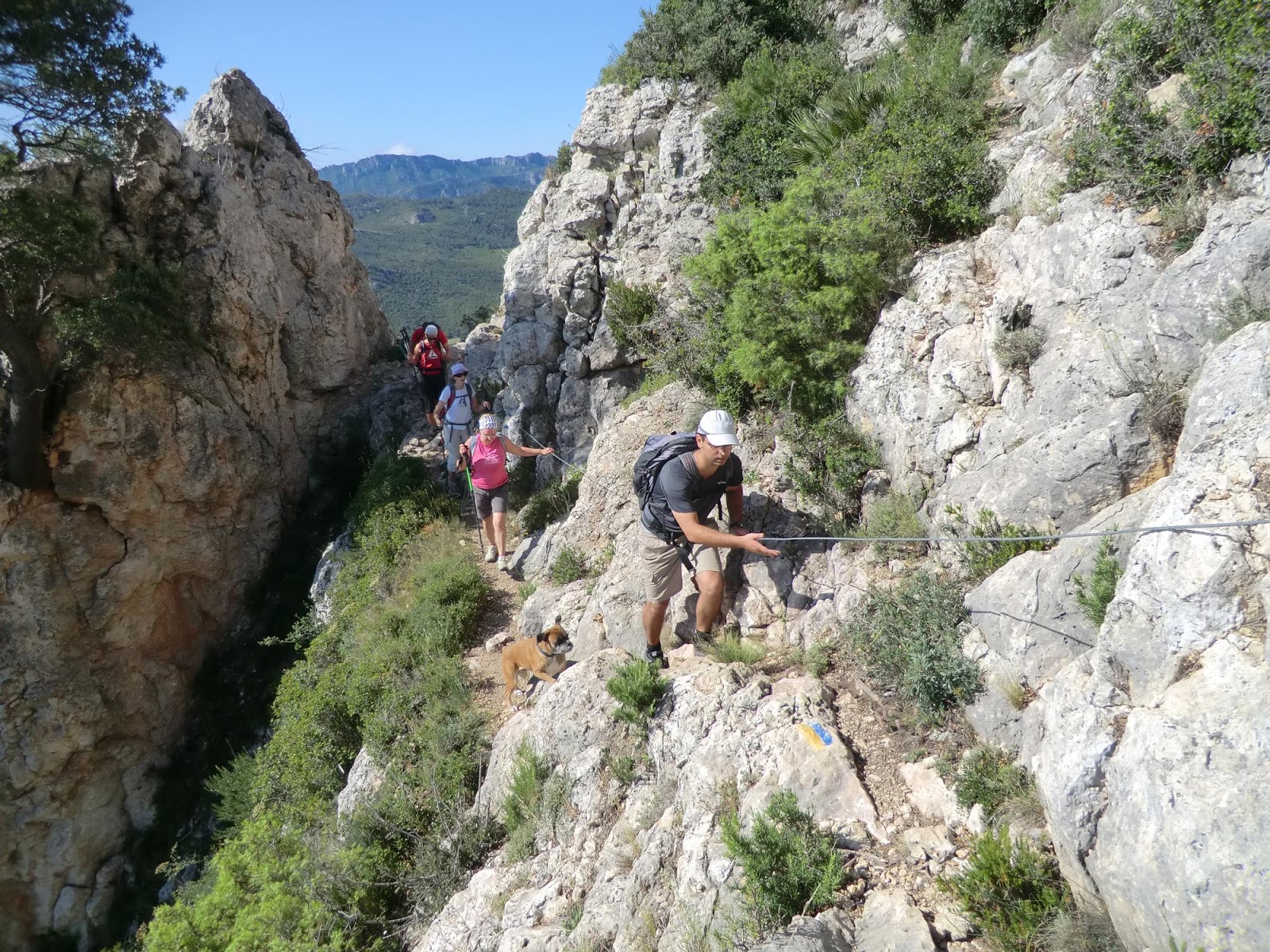 ELS PERDUTS: RUTA POR LA SERRA DE LLABERIA, CAMÍ DE LA FORESTAL Y ...