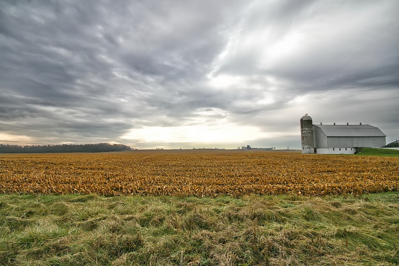 Eye Candy: After The Harvest