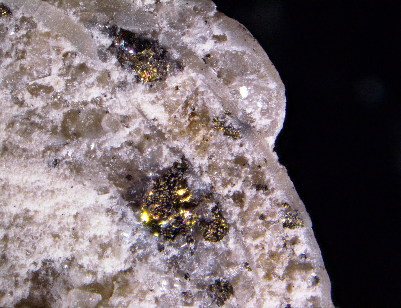 Microfossils Project: 2014