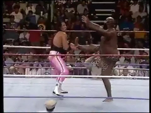 ProWresBlog: WWF 8/10/1992 - IC Title - Bret Hart vs Kamala