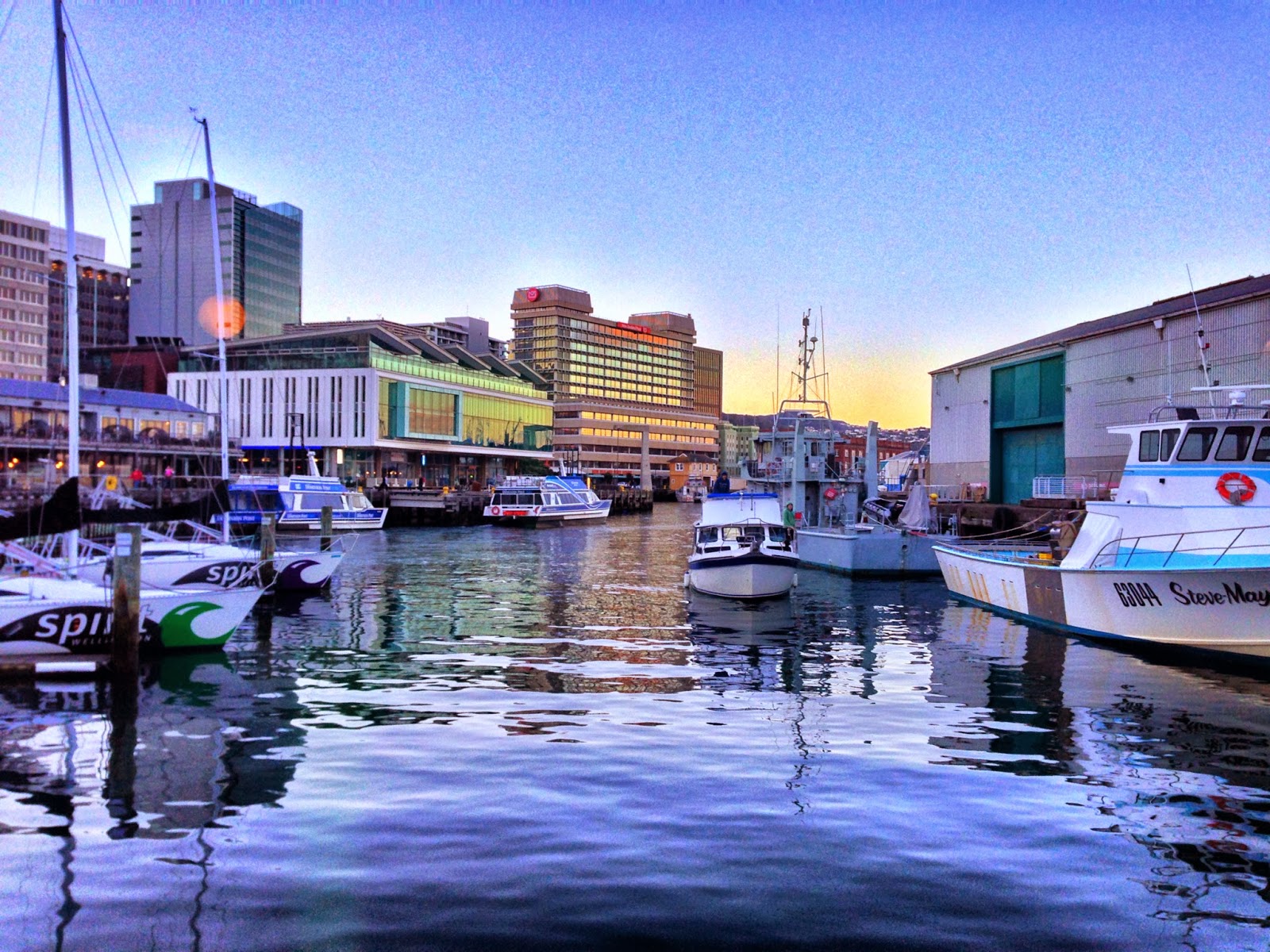 missing moments: Wellywood