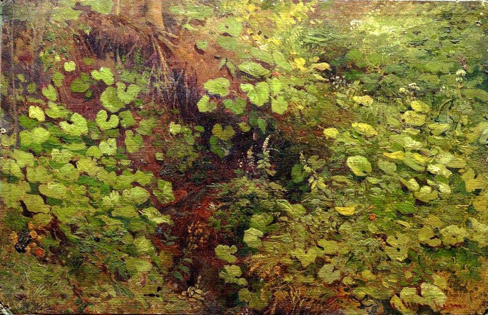 Ivan Shishkin (1832-1898) | The Masterpieces of Art