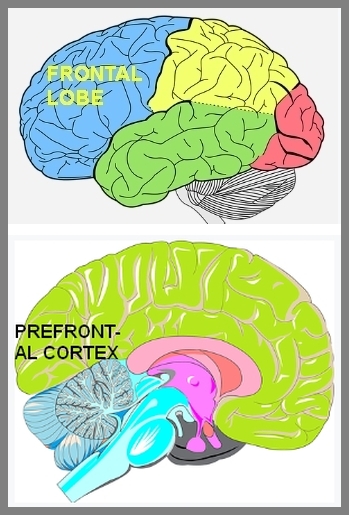 Future and Cosmos: The Dubious Dogma That Thought Comes from the ...