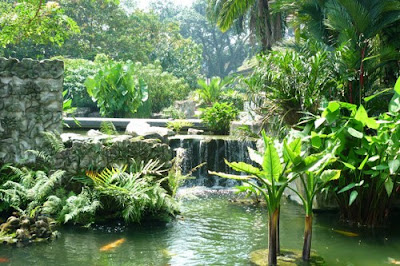 Definicion de Botanica