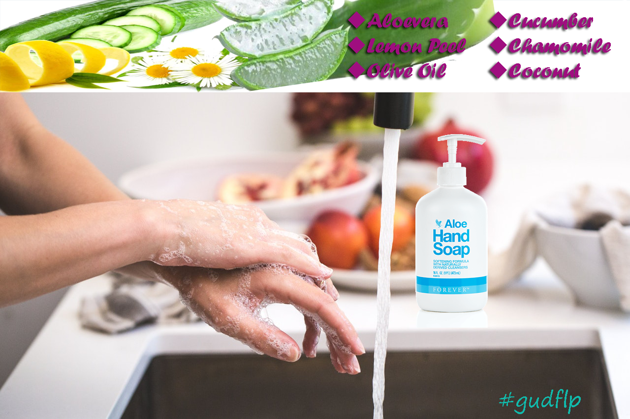 GUDFLP HINDI Forever Aloe Hand Soap Benefits gudflp-hindi-forever-aloe-hand-soap-benefits
