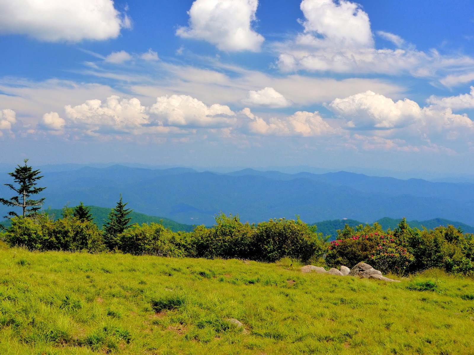 American Travel Journal: Andrews Bald - Great Smoky Mountains National Park
