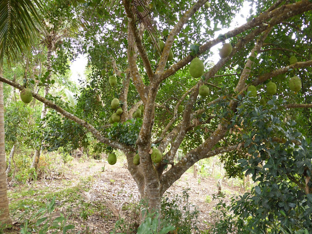 Mayotticiens dans l'océan indien - Blog Mayotte