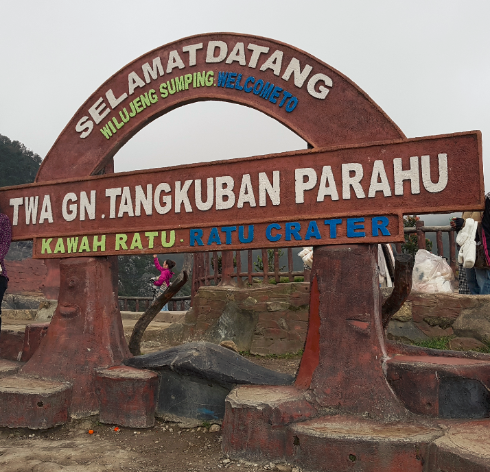 MYLIFEMYPRIMARYPLAN: 2017