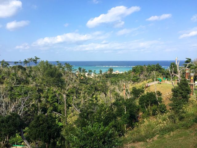 Isshin - Concentration the Art: Okinawa as I would like to experience it