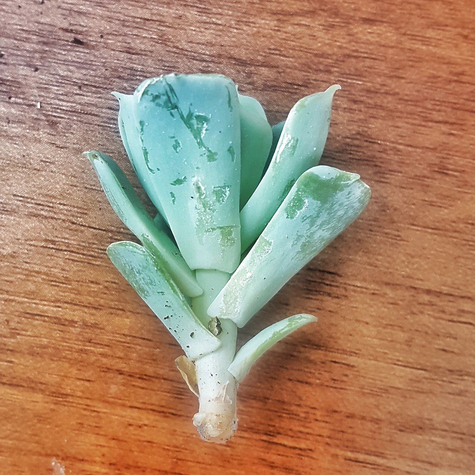 Once you have the little offsets tidied up you can move onto the main ...