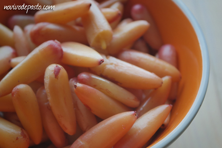Puré de piñones - No vivo de pasto