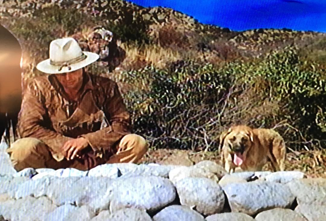 The Horn Section: Television Review: HONDO: "Hondo and the Sudden Town ...