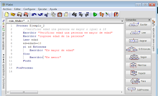 Pseint: Pseint y sus caracteristicas