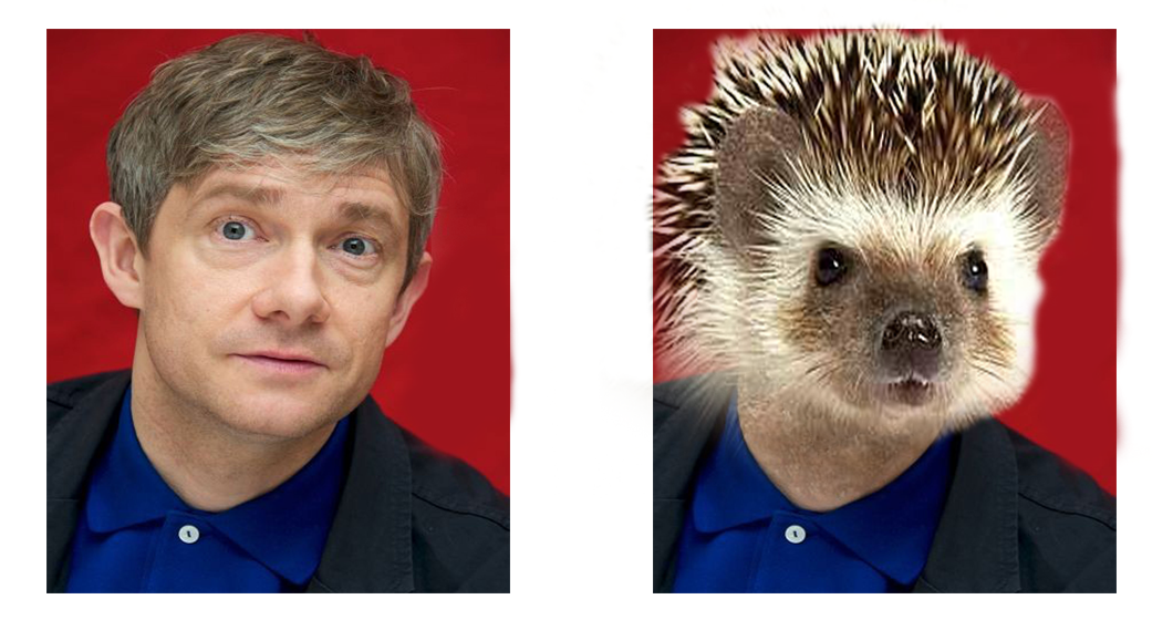 Threads: Some Memes That Tell Us Why Martin Freeman is Secretly A Hedgehog