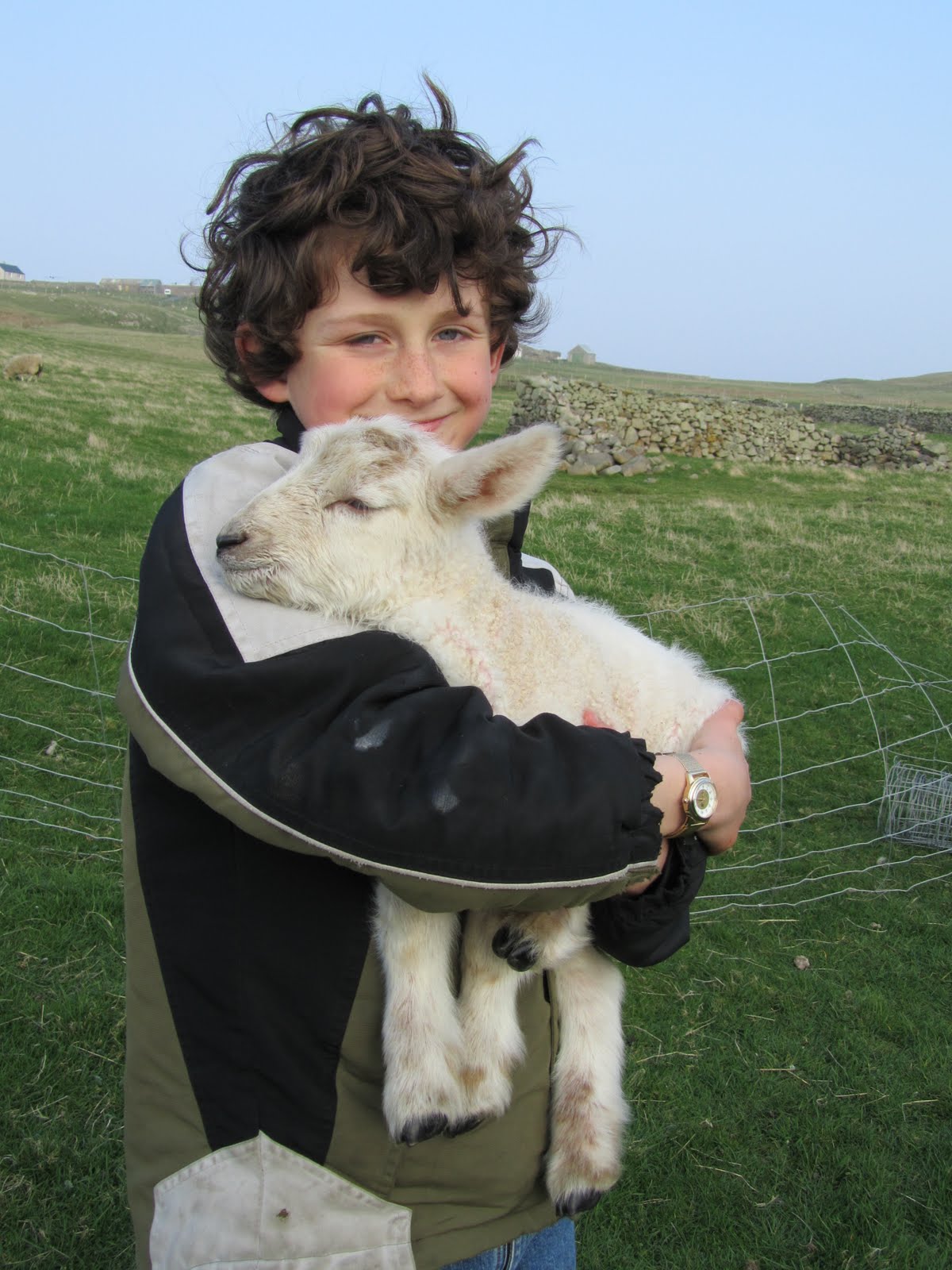Fair Isle: Happy Easter & Ba Ba Baby Lambs!
