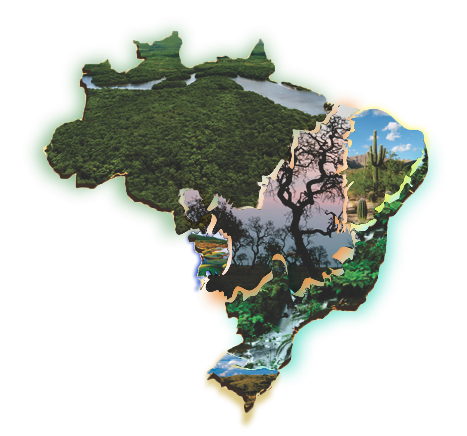 ESPECIAL CAMPANHA DA FRATERNIDADE - BIOMAS BRASILEIROS ESPECIAL CAMPANHA DA FRATERNIDADE - BIOMAS BRASILEIROS