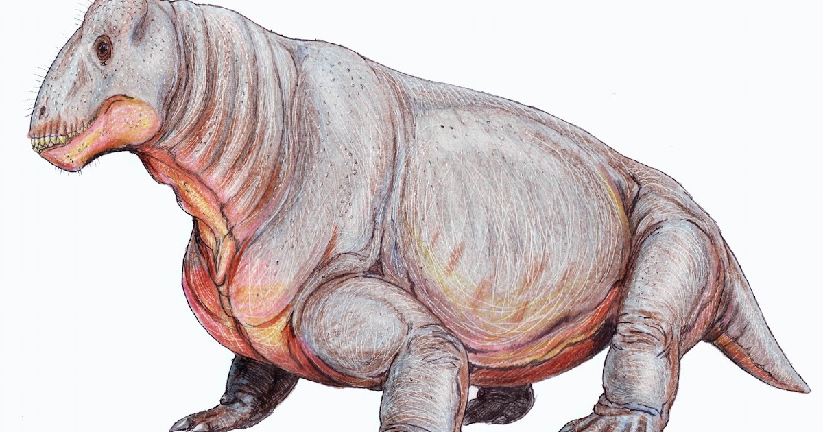 Variety of Life: Eutherapsida