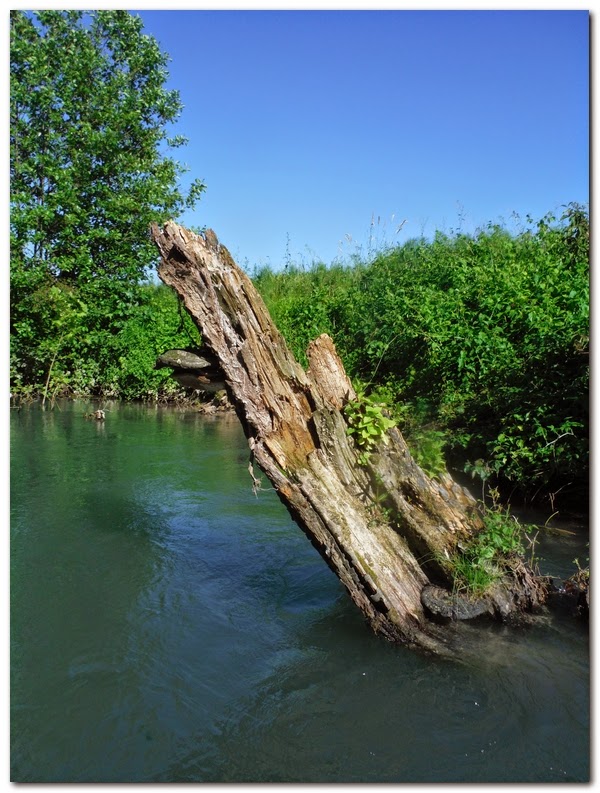 KA-YAKKA: Fiume Veneto - Fiumicino (Fiume Fiume)