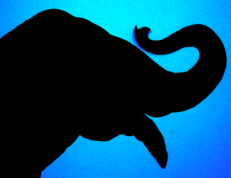 An Elephant a Day: Elephant No. 353: Anamorphosis