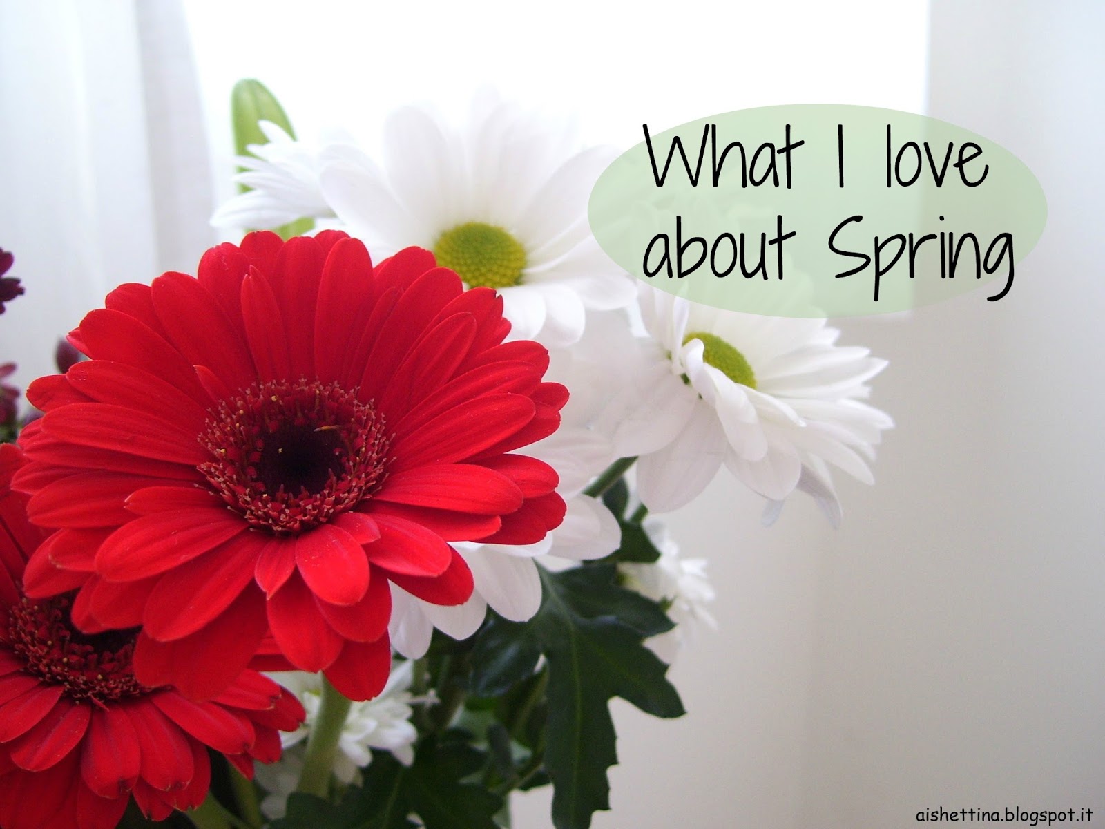 What I love about Spring - Aishettina