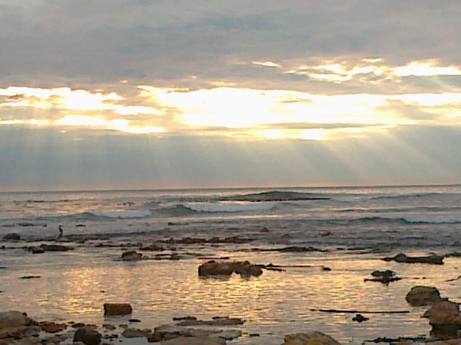 A day in the life: Some peaceful scenes