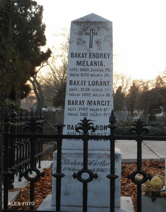 Helytörténetek: Bakay család