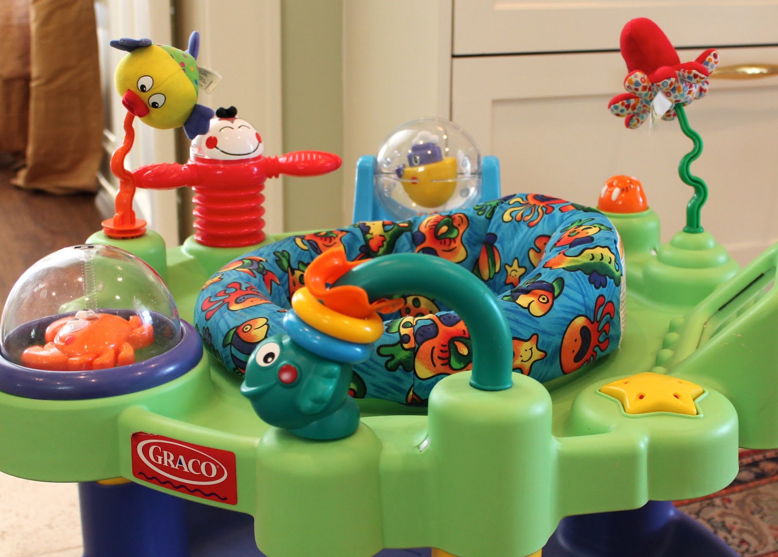 Designing Domesticity: A Kitchen Corner