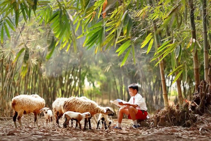 All About Human Activities