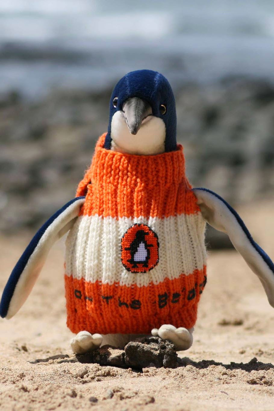 A few of our favourite things ...: Surf's Up - Phillip Island Penguin ...