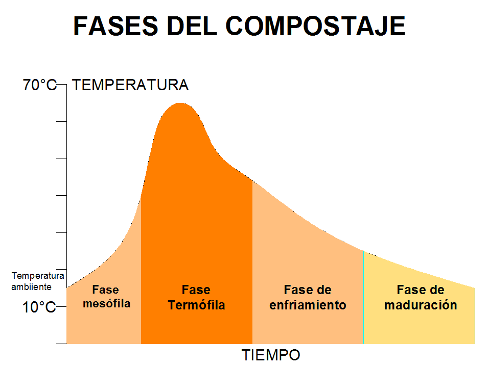 Palmicultura orgánica: AGRICULTURA ORGÁNICA