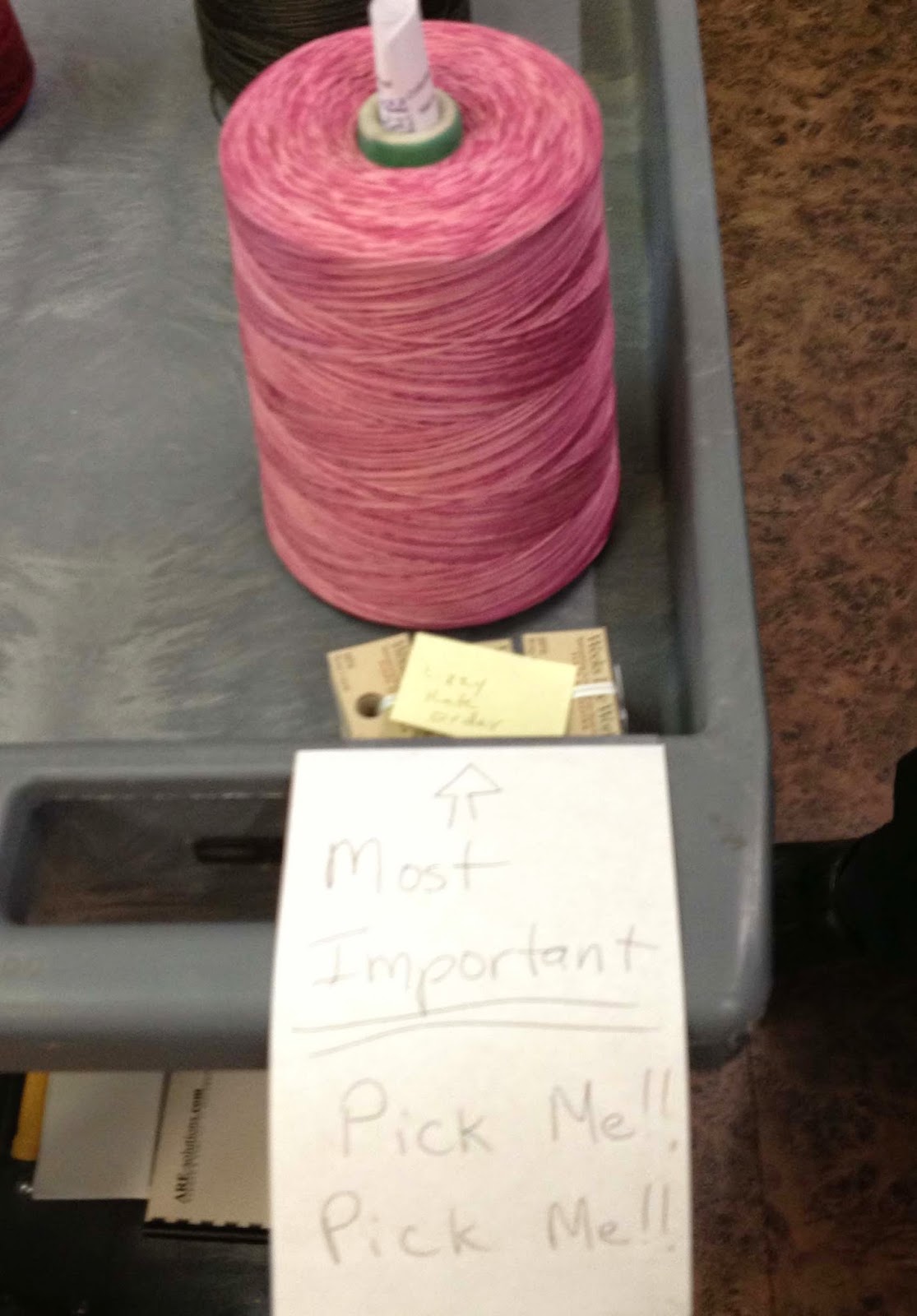 Lizzie*Kate Blog: Final sneak peek photo & Busy Lizzie threads