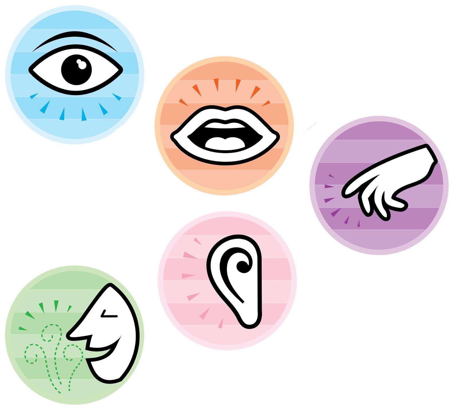 Sens Original, la boutique du bien-être, zoom sur le Tensiomètre de ...