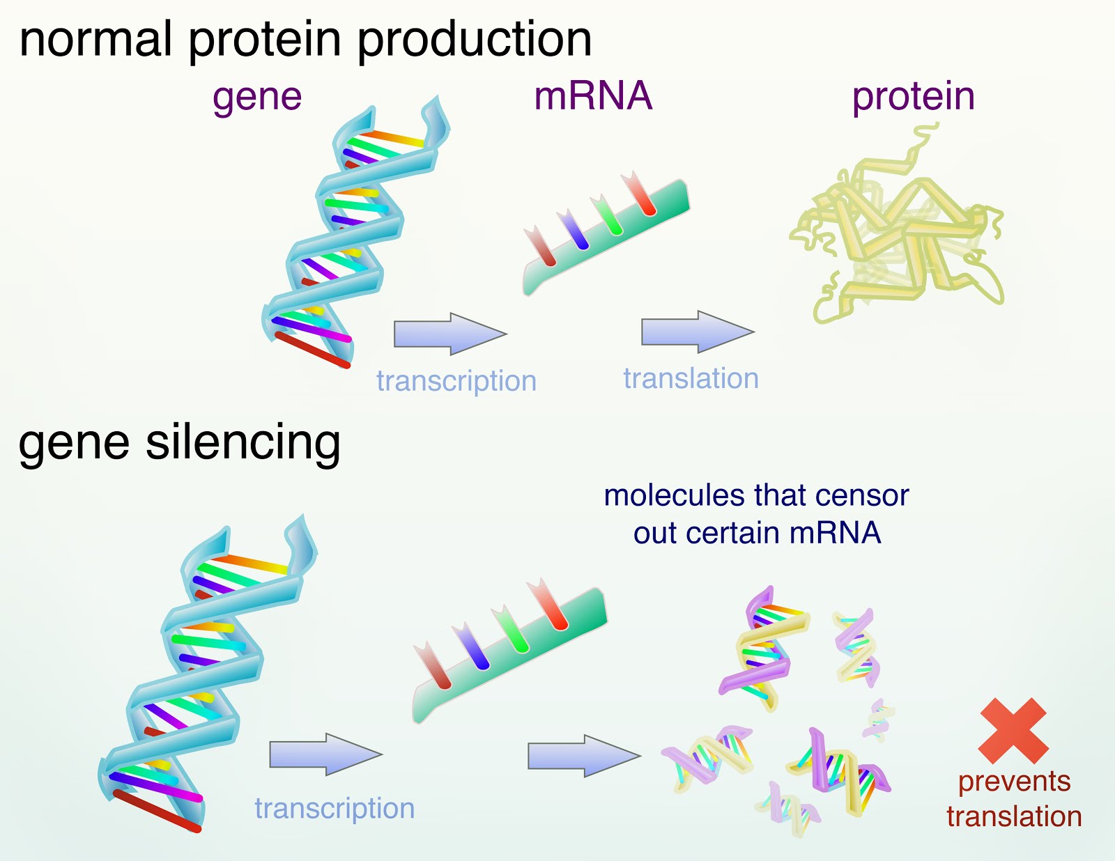 Definisi, Pengertian, Penjelasan, dan Maksud Dari Gene Silencing ...