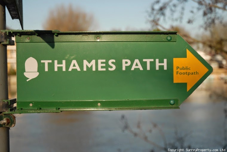 Shawn Timmons Ultra Runner.: Thames Path 100. The High's and Low's of ...