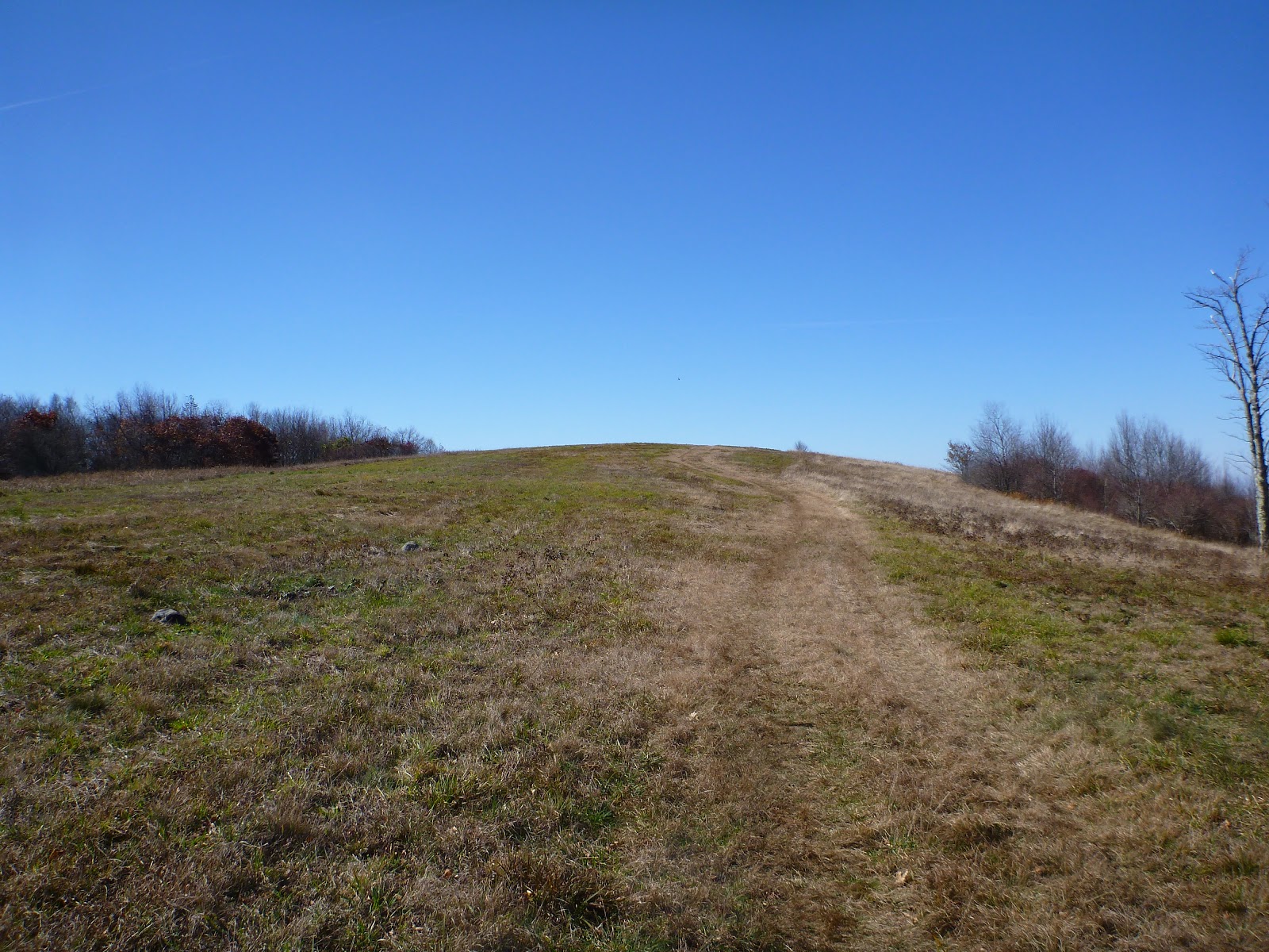 GSMNP - HIKER: Hike Up Mud Gap To Whigg Meadow Grassy Bald