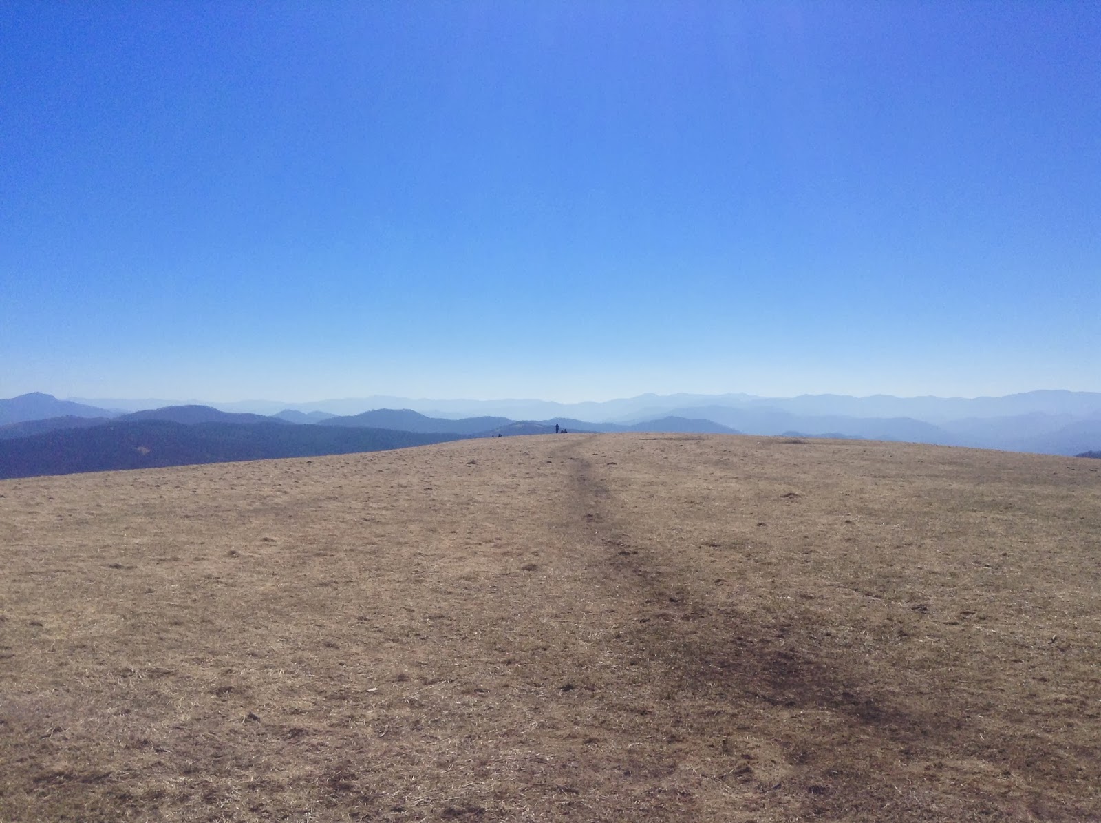 Doug Hikes the 2014 Appalachian Trail: Max Patch, Madison County, NC ...