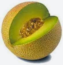 Buah Melon,si Bulat Hijau bikin Melongo!!! ~ Back To The Nature