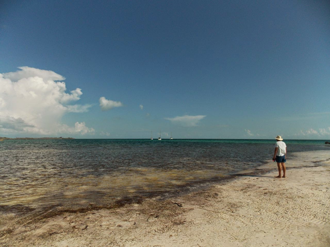 BIG FISH travel: BIG FISH CAY - GREEN TURTLE CAY