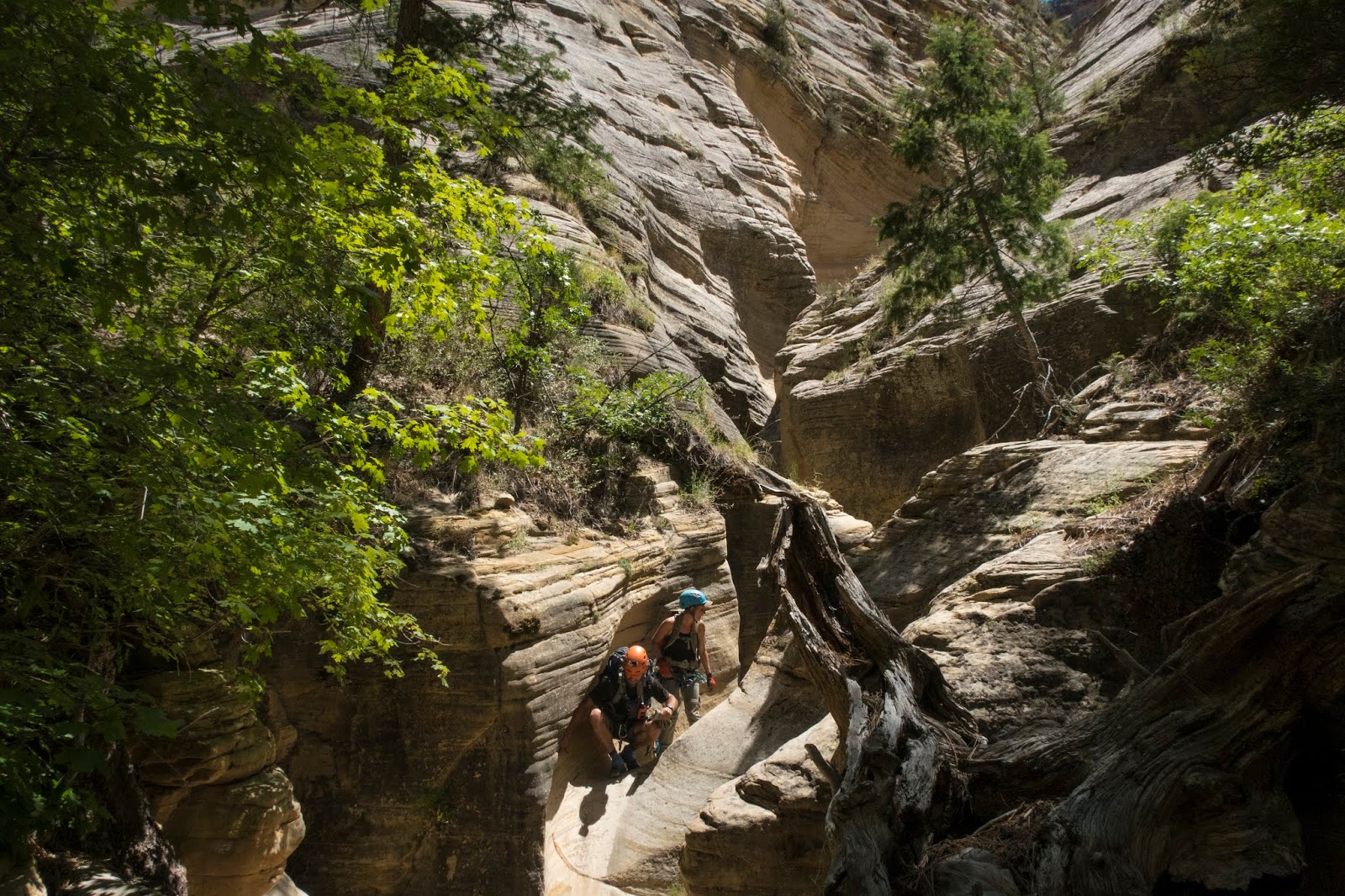 CHECKERBOARD CANYON 3BIV. ZION NATIONAL PARK - ADAM HAYDOCK