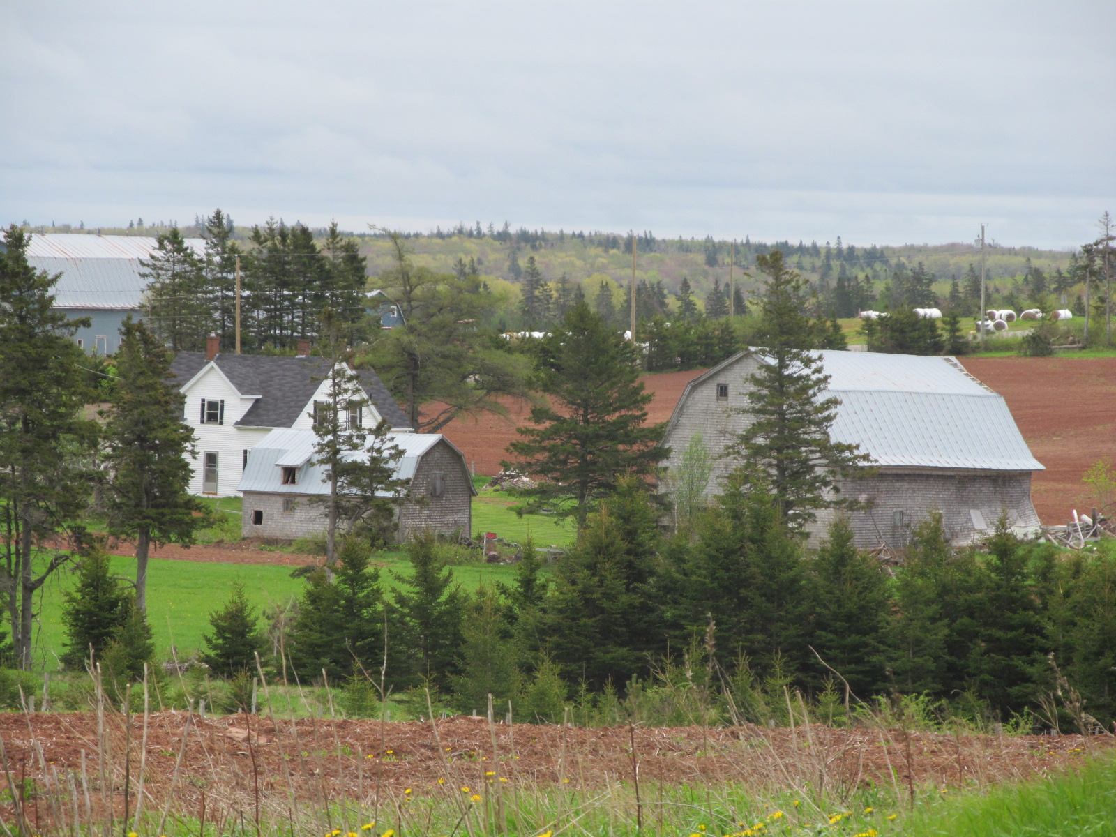 P.E.I. Heritage Buildings: Henry & Sarah Weeks House, Fredericton