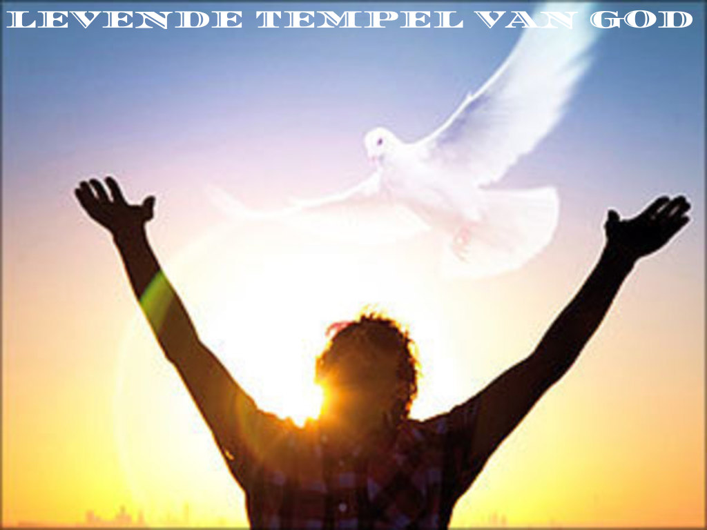 JEZUS en MARIA Groep.: JE BENT EEN TEMPEL VAN GOD!