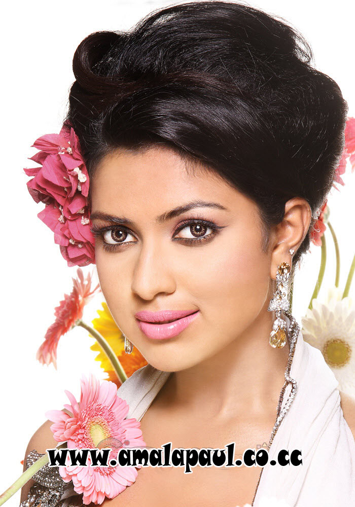Amala Paul Official fan Blog: Amala Paul new photoshoot