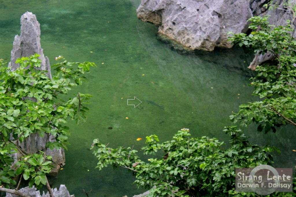 SIRANG LENTE: MATUKAD ISLAND, Caramoan