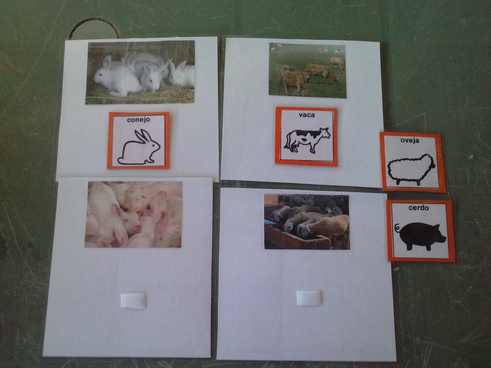 Compartimos ilusiones:: Pictogramas de animales.