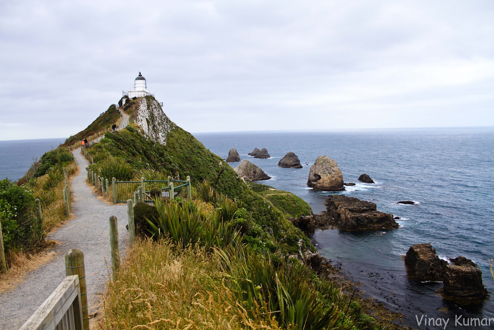 Camper Van Day – 4 Kaitangata – Catlins | Vinay's Blog