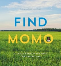 The Itinerant Librarian: Booknote: Find Momo