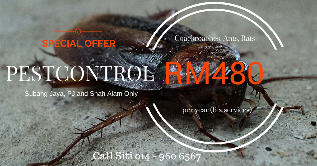 Kesan Gigitan Pepijat Dan Bagaimana Merawatnya - MyPestNews