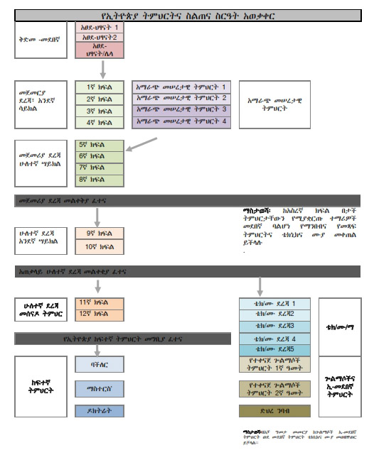 Afar national regional state education bureau